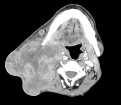 Internet Scientific Publications